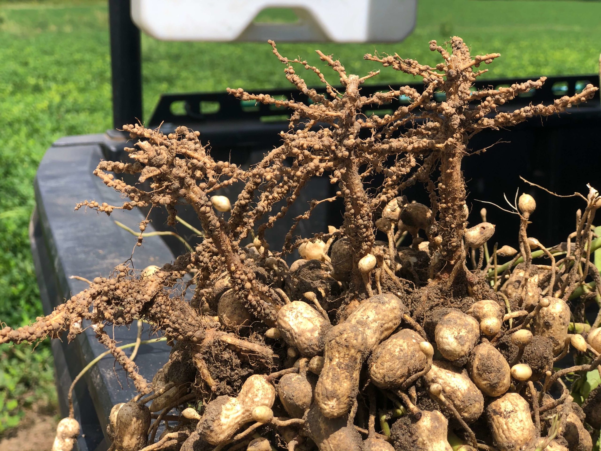 Welcome to Legacy Agriculture - Legacy Agriculture Inc